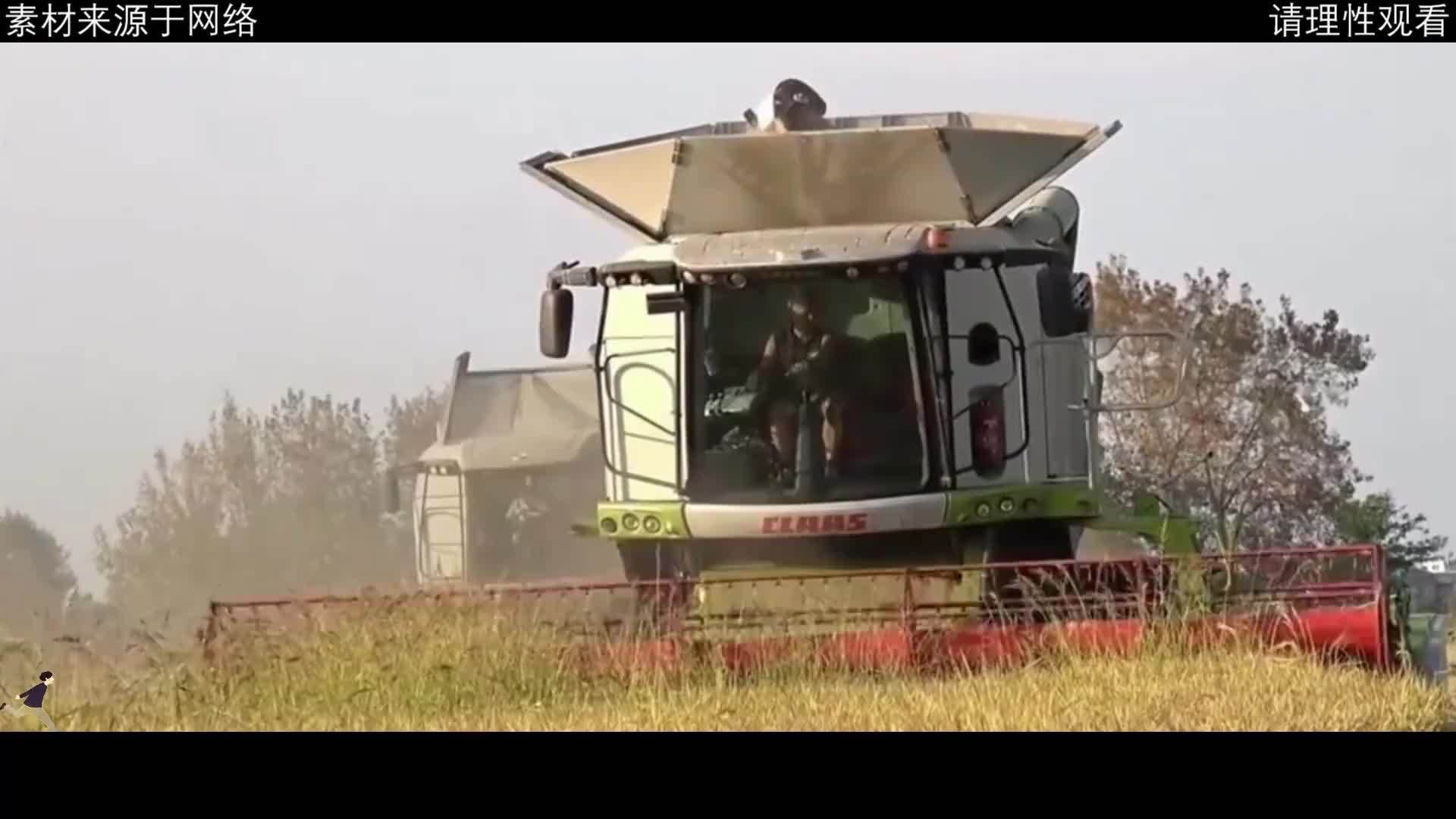 老美不吃米饭,为什么水稻亩产量比我国还高?谁是水稻之王