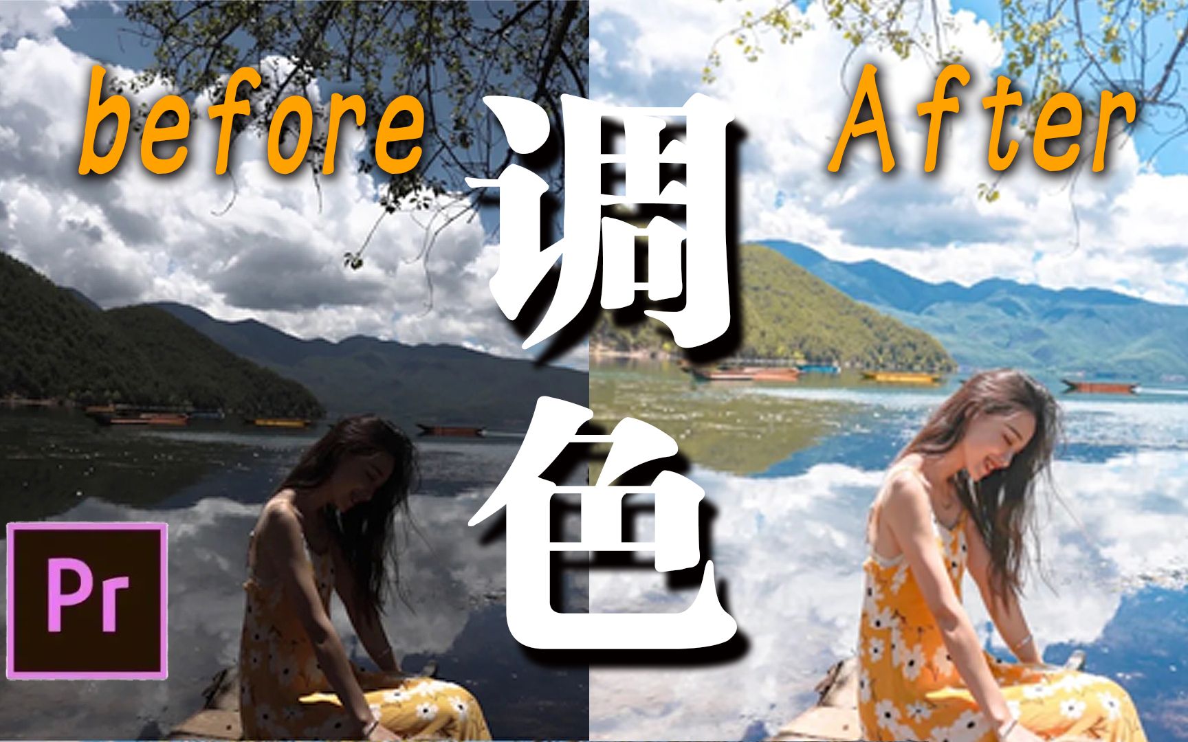 【Pr调色插件】什么?居然有比达芬奇还厉害的调色插件?!