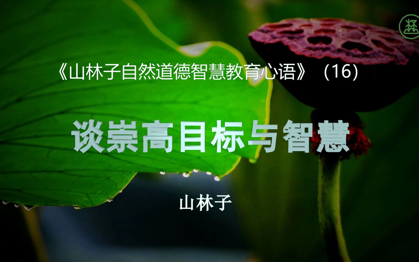 《山林子自然道德智慧教育心语》16【谈崇高目标与智慧】鹤清工作室