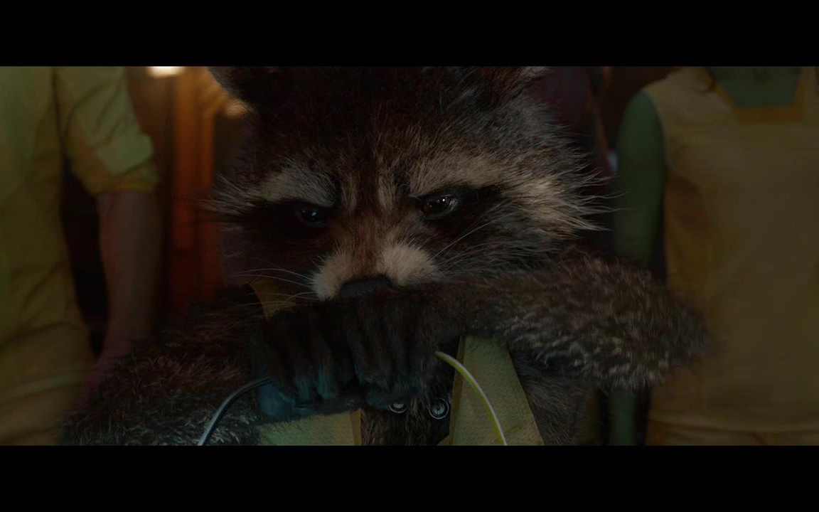 这根本就是个假的零磕活动