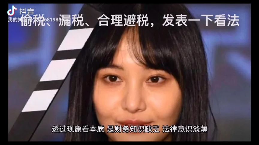 偷税、漏税、合理避税,发表一下看法