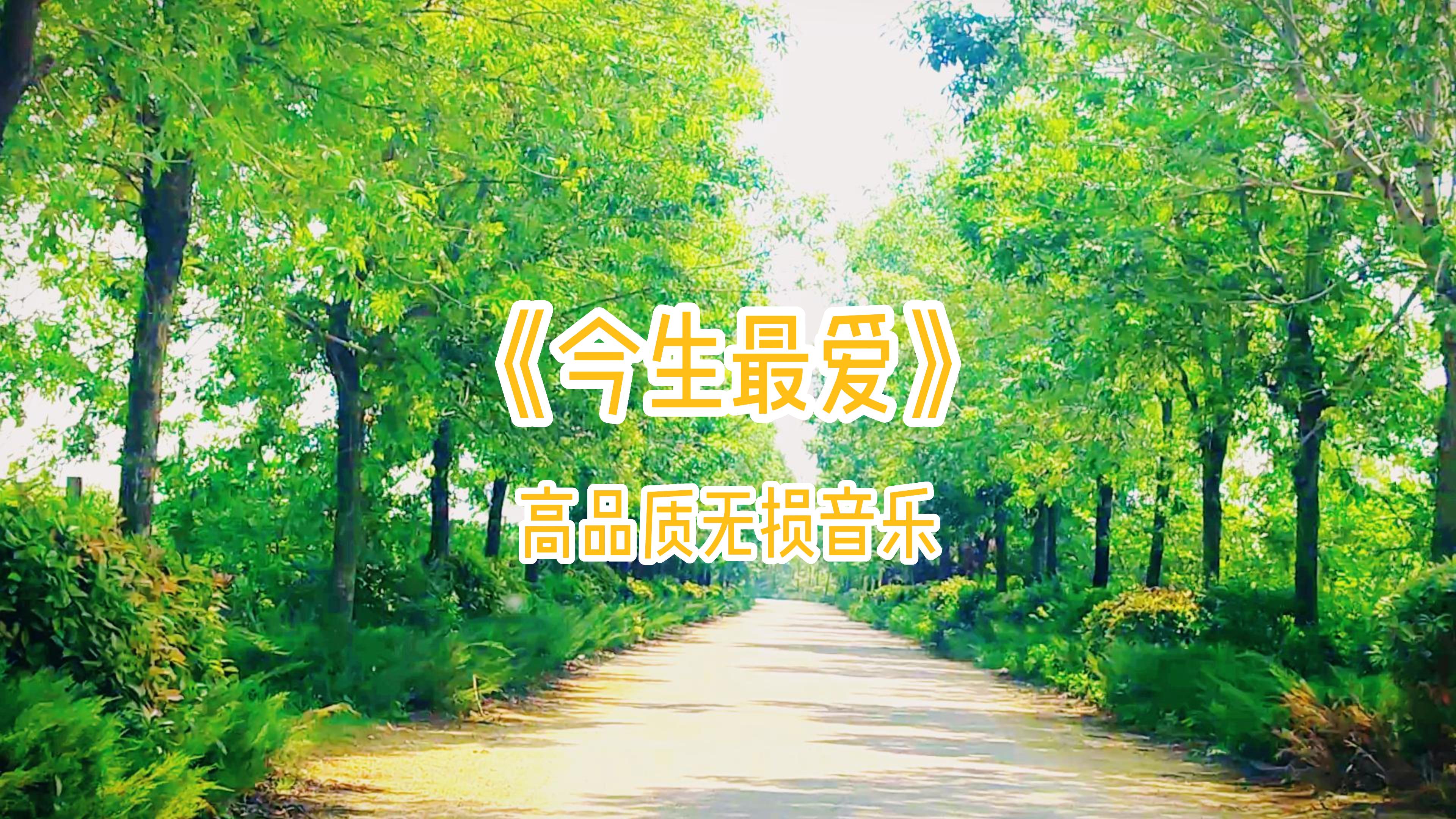 无损老歌《今生最爱》你爱得如此坚定又怎么能够伤我的心? 好听