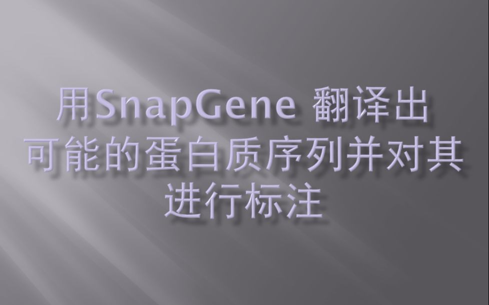 用SnapGene 翻译出可能的蛋白质序列并对其进行标注