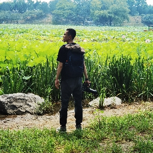 猫头鹰的自然观察 