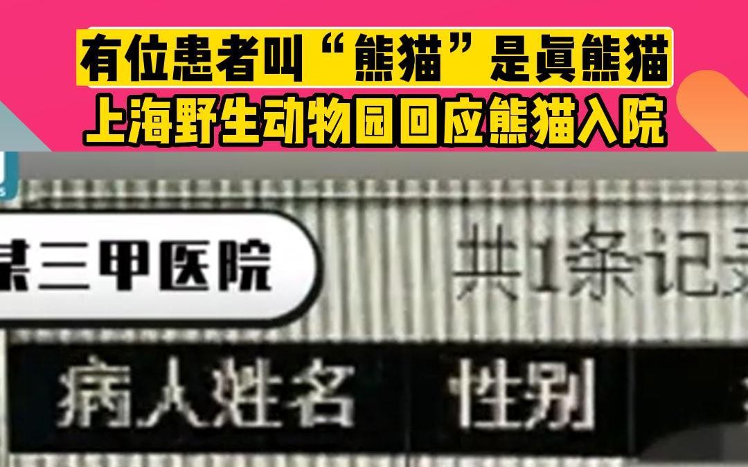 ...上海野生动物园回应:因肠梗阻紧急送医 #一个叫熊猫的患者前来拍片