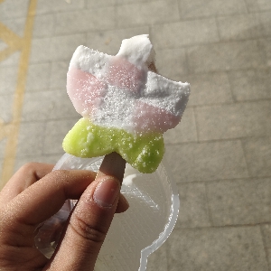 张二狗的小菜宝 