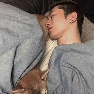 白雪公猪解说解说 