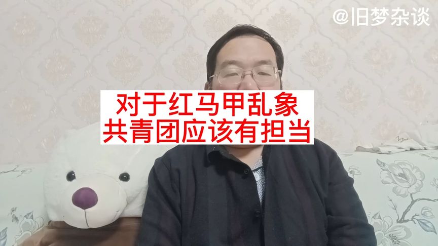 面对近期红马甲乱象,共青团组织应该有所作为,重申自己的宗旨。