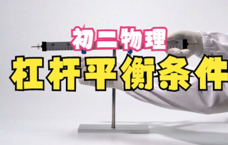 初二物理 。杠杆平衡的条件