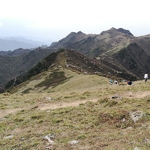 子野_ziye 
