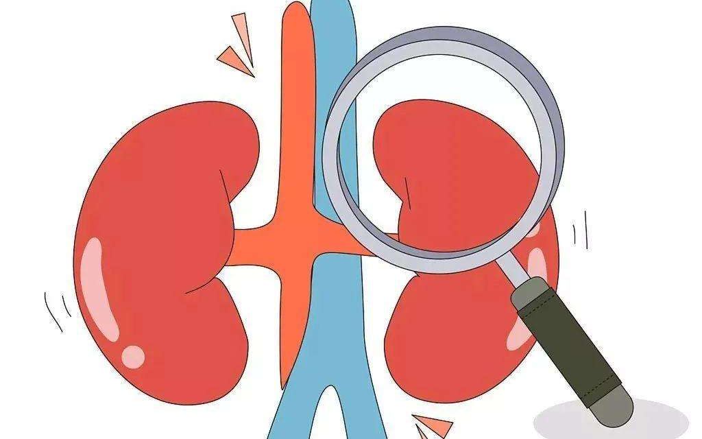 如何养肾护肾不得肾病?每天坚持揉“涌泉”穴 ,肾会健健康康