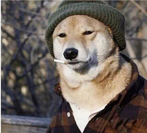 不明真相的大叔 