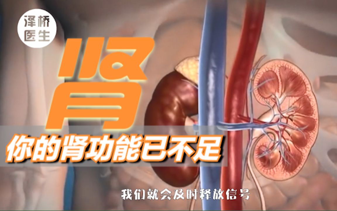 一颗被过度压榨的“社畜肾”的自白