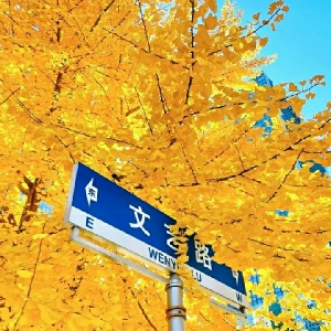 爱画画的螃蟹 