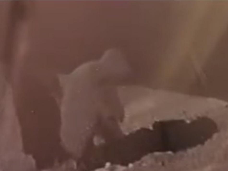 女生艺考前被男同学抱摔,当场骶骨骨折,伤人者称"开个玩笑"