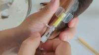泽一动物医院留置针教学