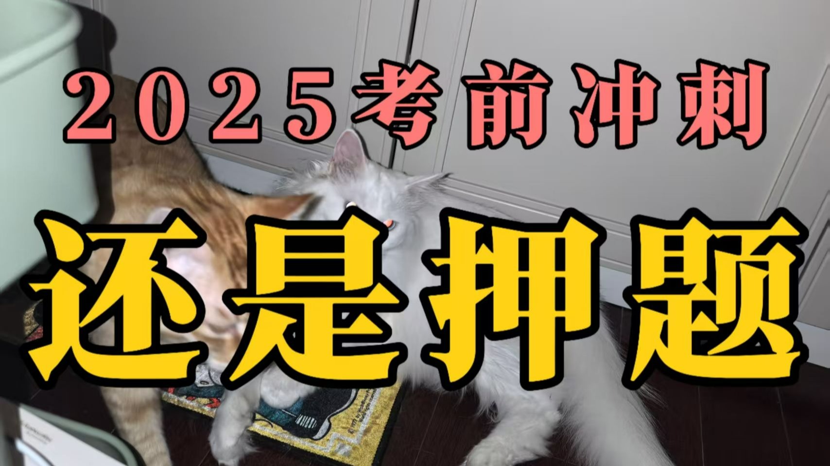 【考前押题】易懵b型题目:生僻概念的简单化处理