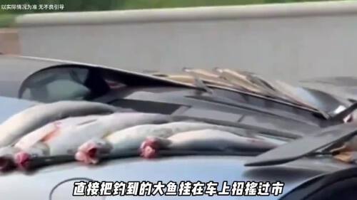 钓鱼佬的豪横日常!看完我默默收起了鱼竿