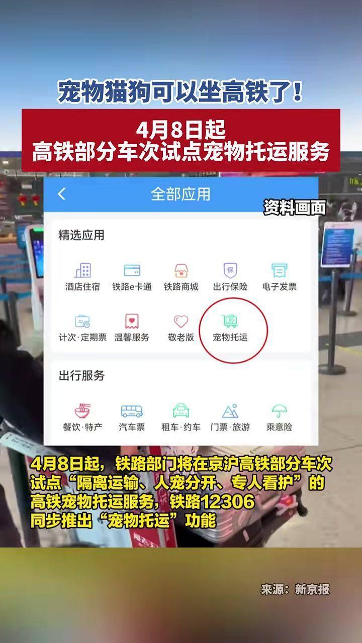 宠物猫狗可以坐高铁了!4月8日起,高铁部分车次试点宠物托运服务(来源...