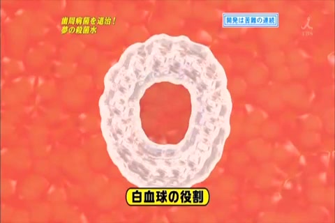 白细胞吞噬病菌