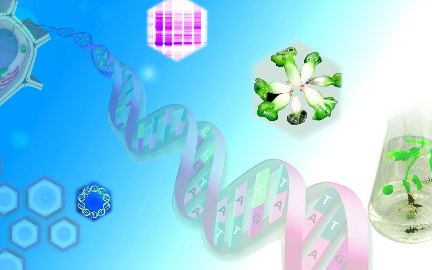 植物生物技术_华中农业大学_主讲-林忠旭 51讲