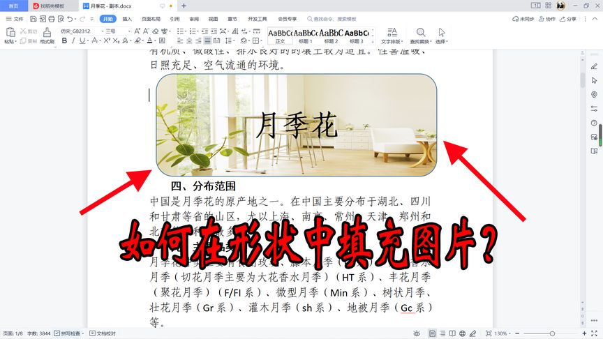 WPS文档如何在形状中填充图片?两种方式,填充图片背景