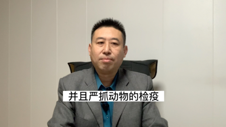 什么是动物医学?动物医学的就业方向是什么?