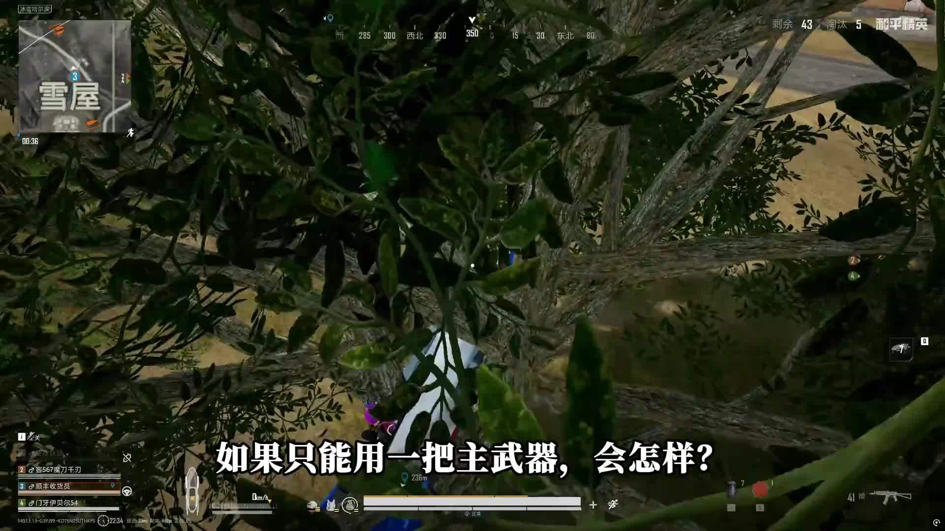 如果吃鸡只能用一把主武器,游戏会怎样? #和平精英PC模拟器 #怼友们...