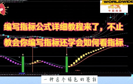 编写指标公式详细教程来了,不止教会你编写指标还学会如何看指标