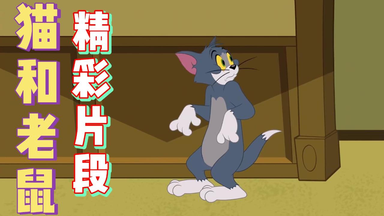 猫和老鼠:盘点剧中精彩片段,汤姆略施小计,让胖狗下地运动