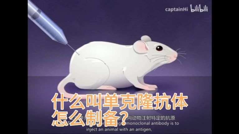 动物细胞培养技术与之应用——单克隆抗体