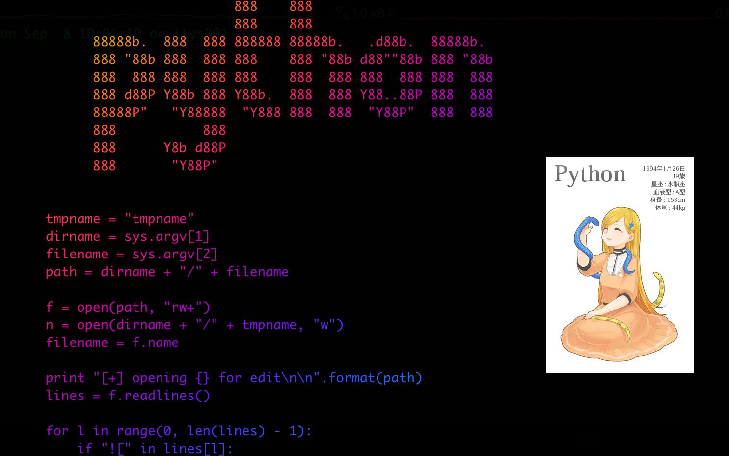 【python】【一天入门系列】基础入门 | 快速入门python !