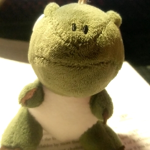 没有影子的兔子 