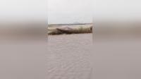 螺旋桨搅拌器,泥浆飞射