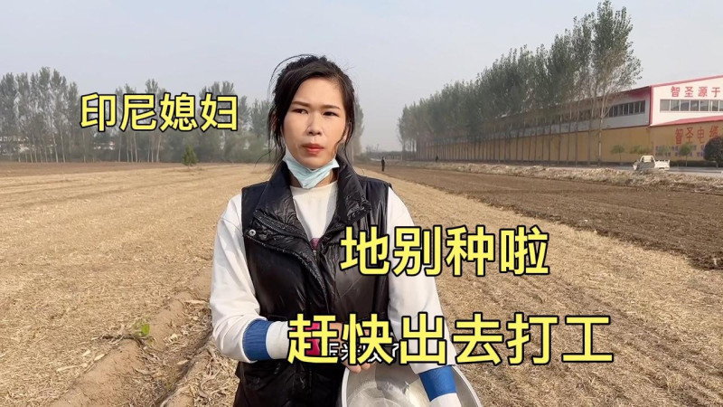 地里撒肥料要一千多,印尼媳妇听到后瞬间变脸,叫老公出外打工