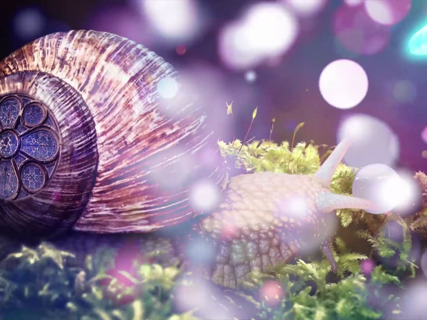 周雨禾蜗牛 童声版)配乐伴奏led舞蹈舞台大屏幕背景视频素材3231