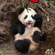 汽•好饿好饿好饿•水 