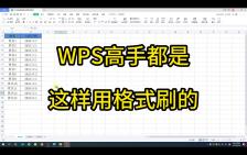 WPS高手都是这样用格式刷的-08