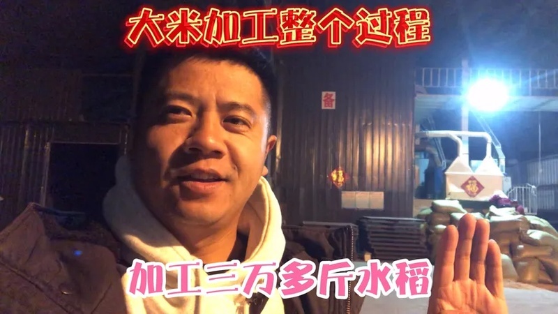 加工30000斤水稻,机械化加工,水稻变成米全过程