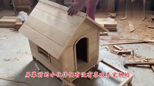 荒野小哥太有爱,为流浪狗建造豪华新家,网友:实名羡慕!