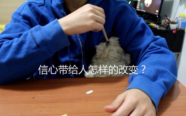 信心对我们有哪些作用?