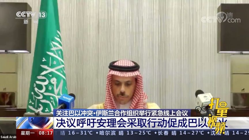 伊斯兰合作组织举行紧急线上会议,多国高官强烈谴责以色列暴行