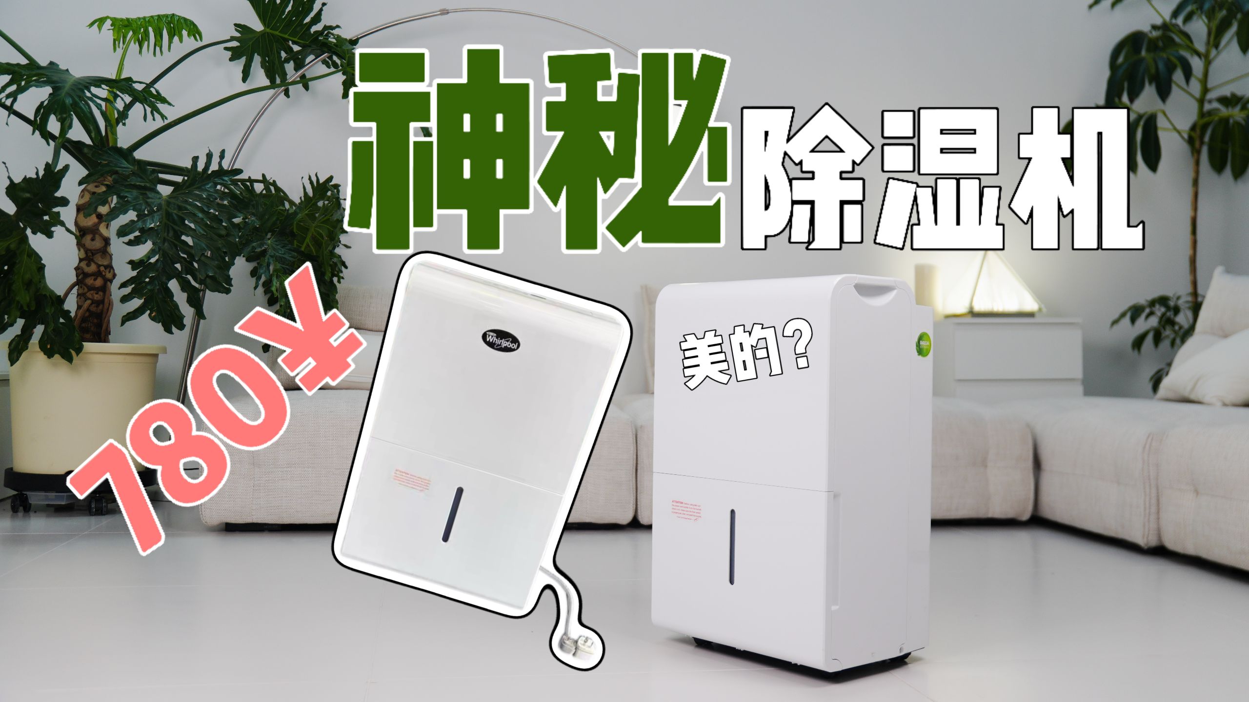 二手!这台780块的除湿机LOGO都没有,但却把品牌机卷麻了.