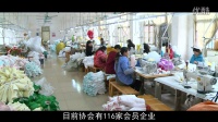 柳州市针织行业协会 宣传片