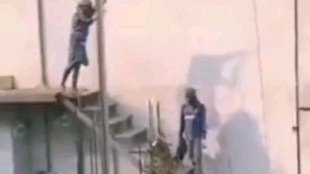 坐标埃及 定滑轮在建筑业的应用