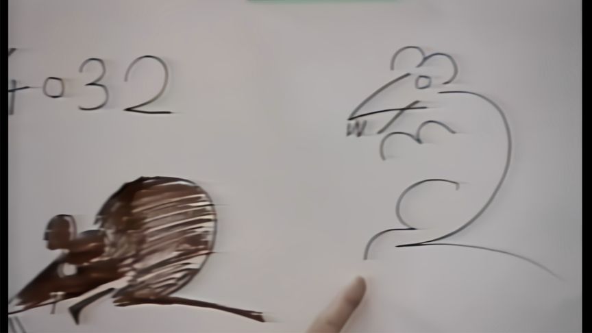 怎样用数字画公鸡母鸡小鸡老鼠猫——侯文杰教授主讲