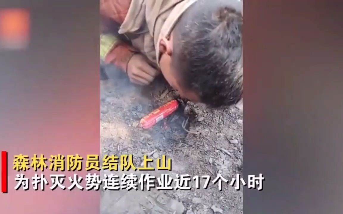 这就是中国消防员!《一路生花》让人感动让人笑,致敬最美逆行者
