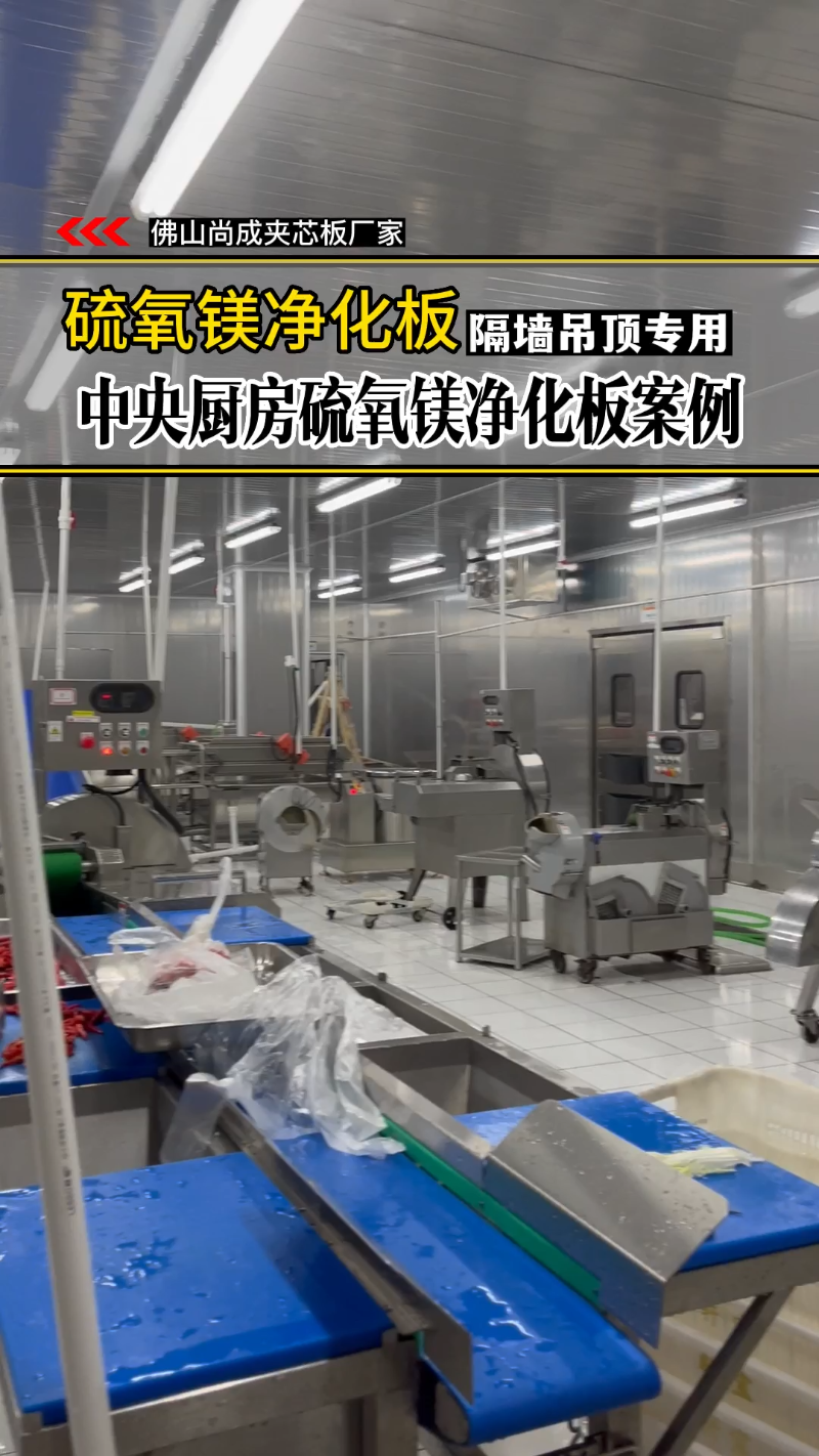 中央厨房硫氧镁净化板案例 #中央厨房装修 #硫氧净化板 #洁净板 #...