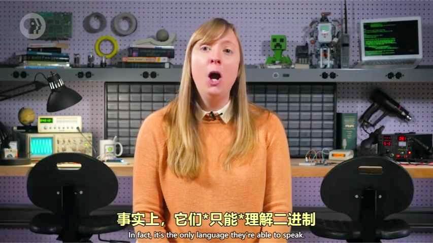 11.11. 编程语言发展史