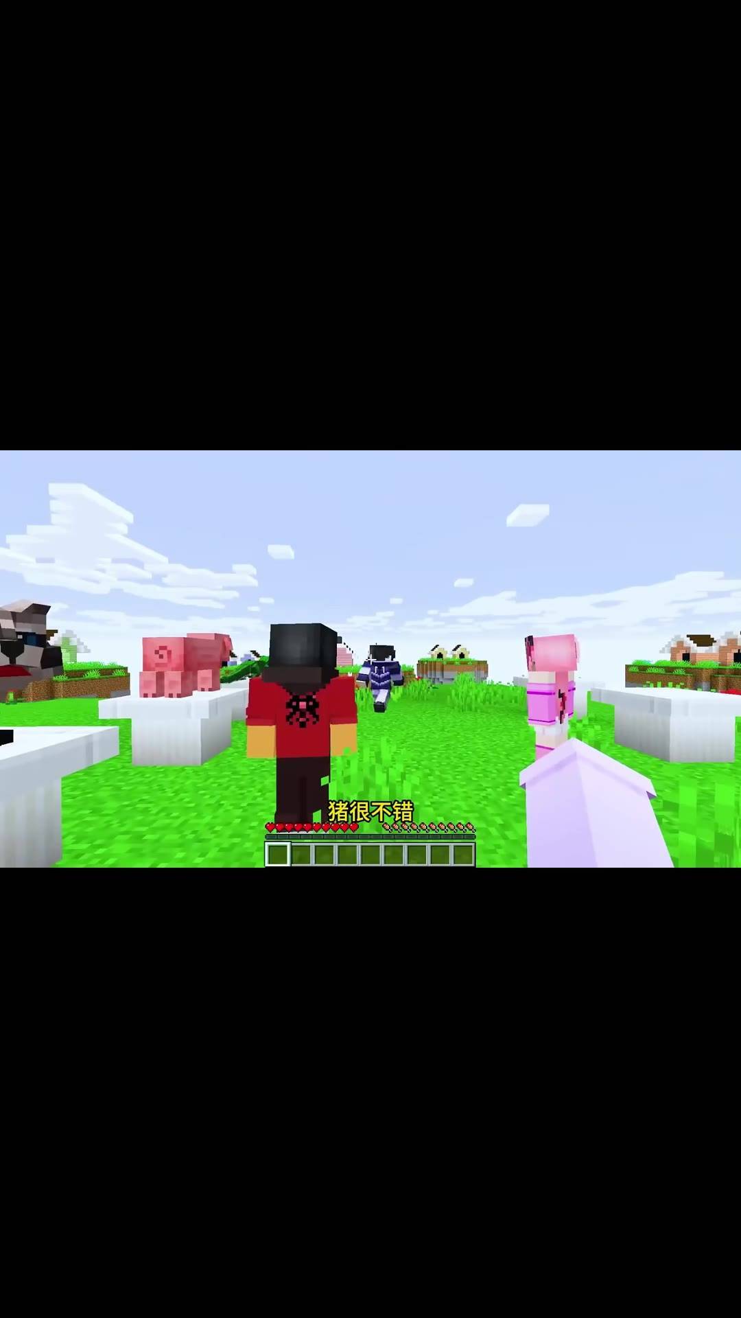 我的世界:动物模组!享受动物人生